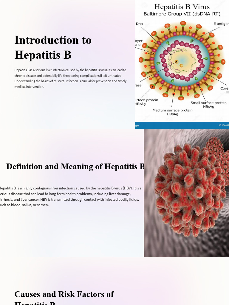Introduction to Hepatitis B | PDF | Hepatitis B | Hepatitis