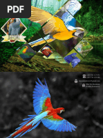 Evolution by Natural Selection WKS Lab ANSWER KEY Zu3kag | PDF ...