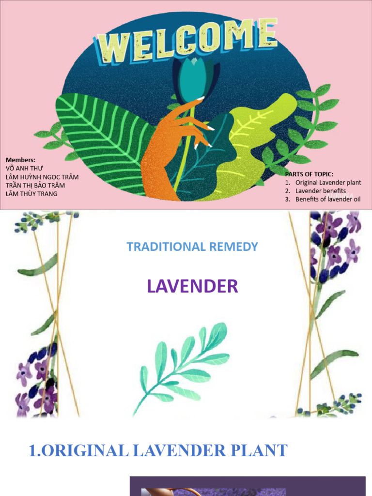 Lavender | PDF