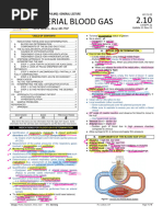 VBG Interpretation | PDF | Vein | Artery