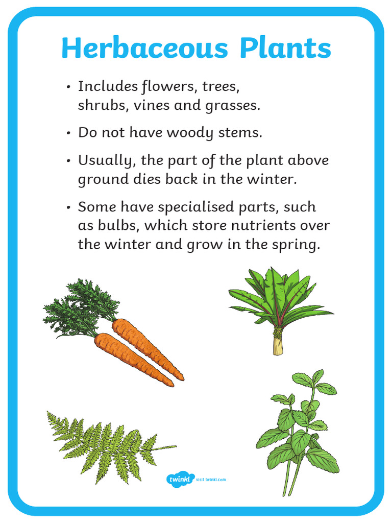 t2 S 1444 Plant Groups Display Posters Ver 1 | PDF | Home & Garden ...