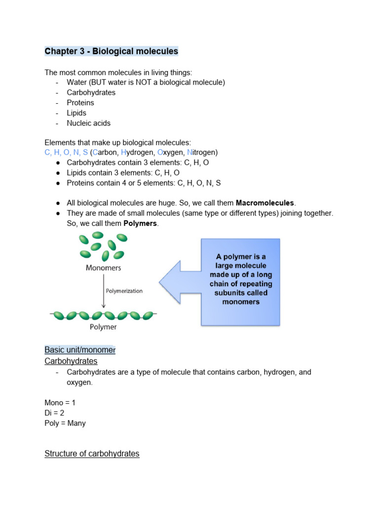 Bio chapter 3 notes | PDF | Carbohydrates | Glucose