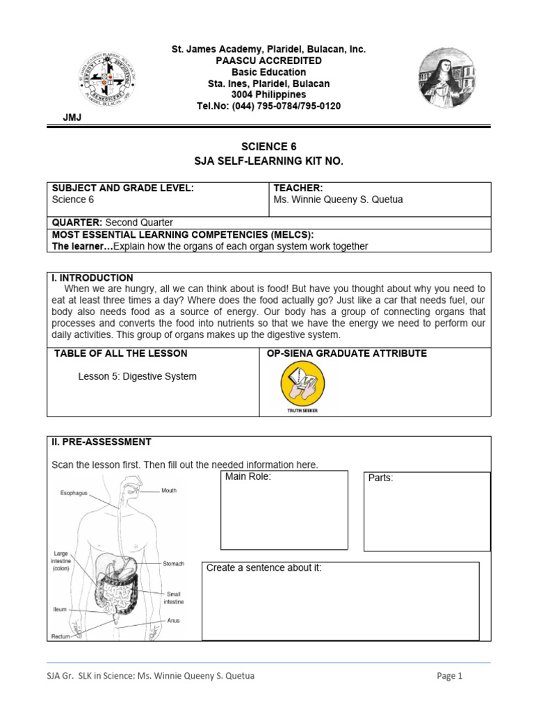 Digestive System for Grade Six Students | PDF | Digestion | Stomach