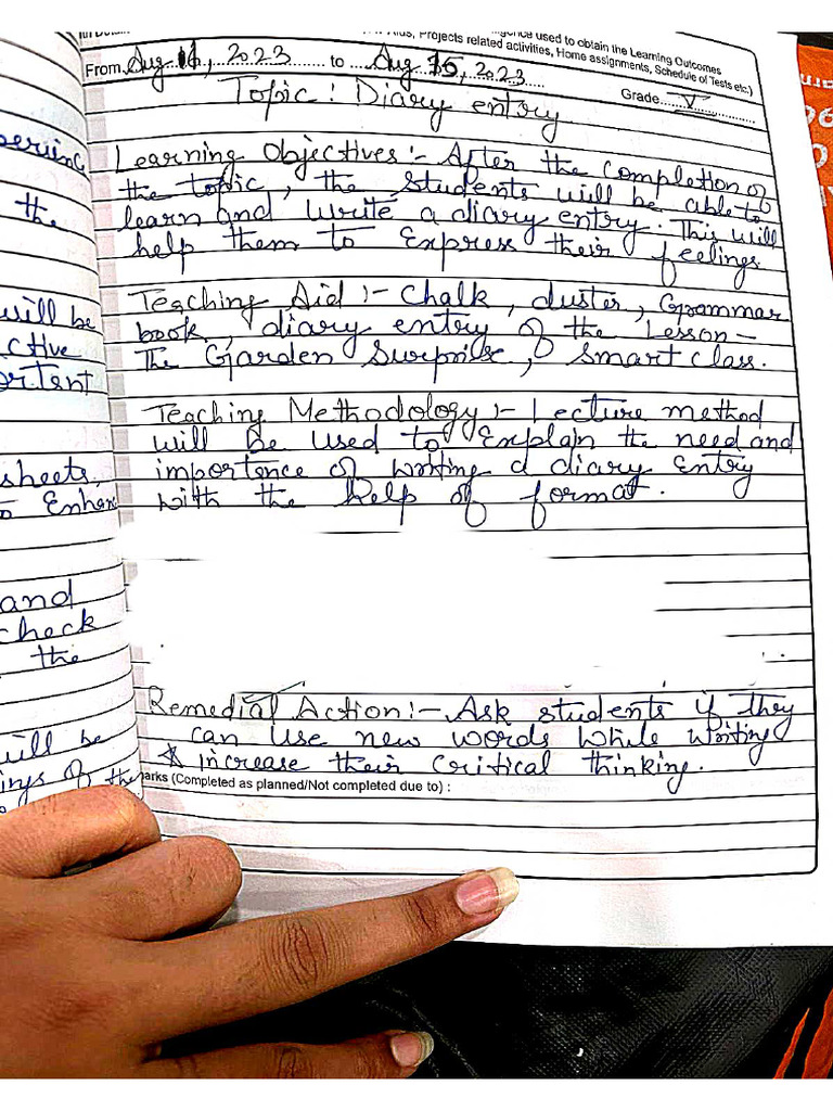 lesson plan 5 dairy entry | PDF