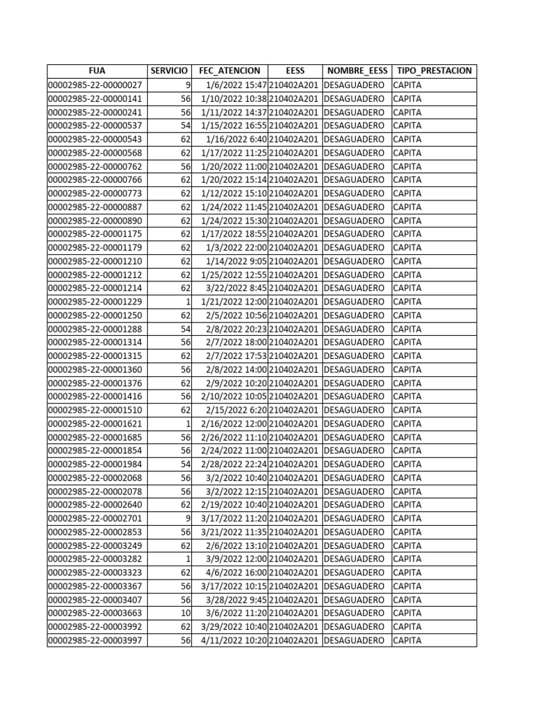 PCPP Desagudero | PDF