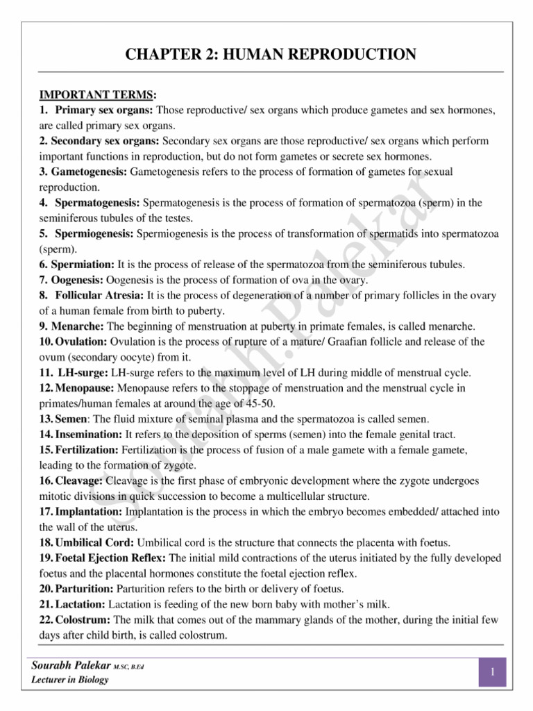 Chapter 2 - HUMAN REPRODUCTION | PDF