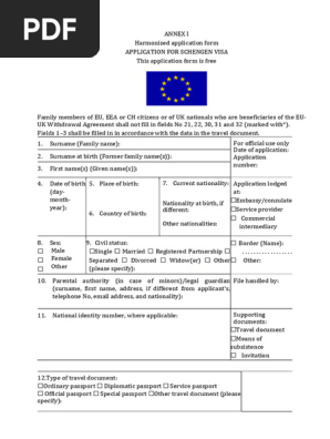 Visa Application Guide Pdf Portfolio Application Form | PDF | Travel