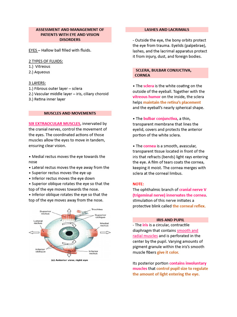 Assessment of The Eye | PDF | Human Eye | Retina