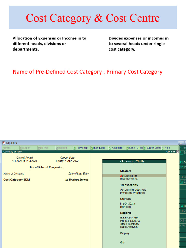 Cost Category and Centre Overview | PDF