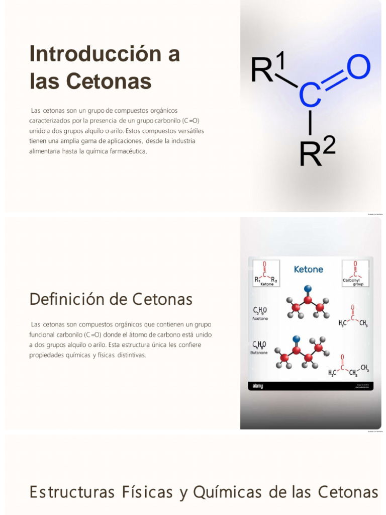 Cetona S | PDF