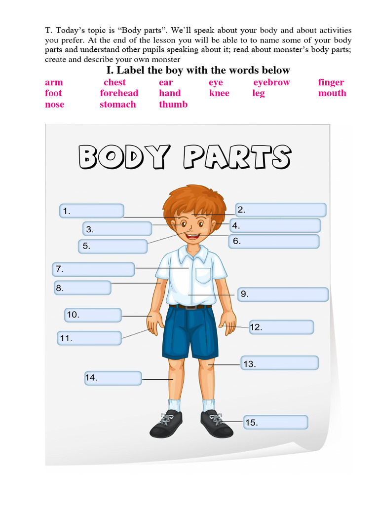 Body Parts | PDF | Language Families | Linguistic Typology