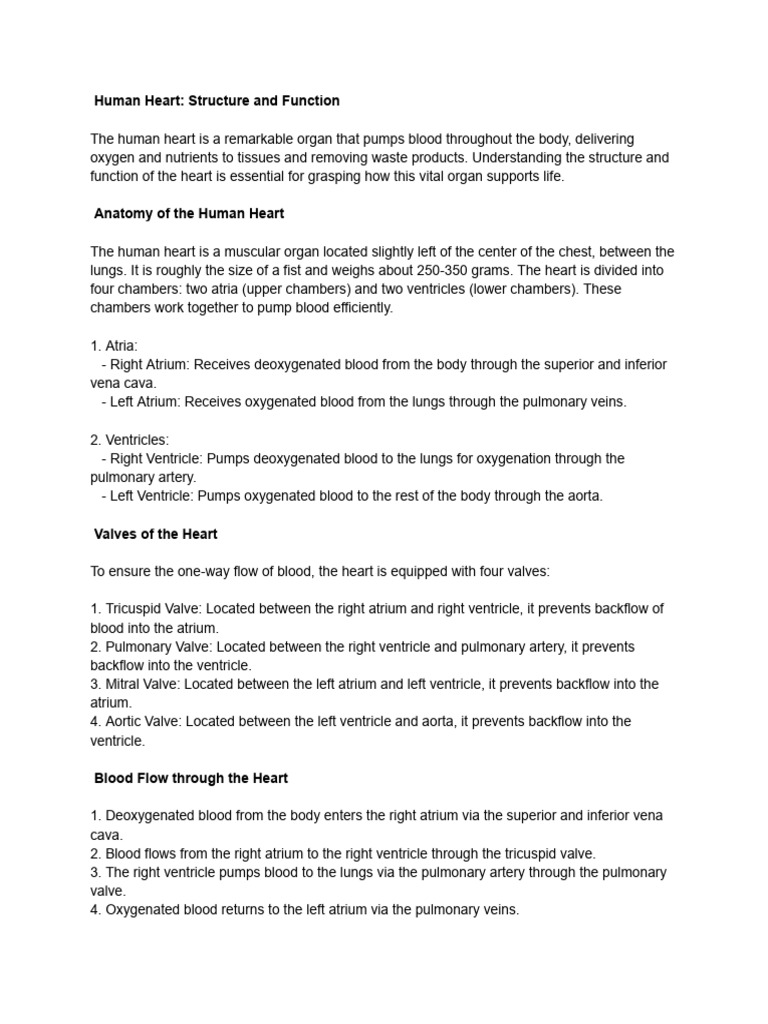 Human Heart - Structure and Function | PDF | Heart | Heart Valve