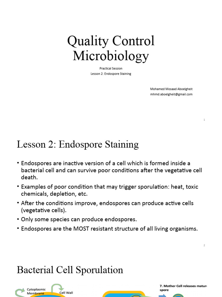 Microbiology Practical Lesson 2 Microbial Count | PDF | Staining | Bacteria
