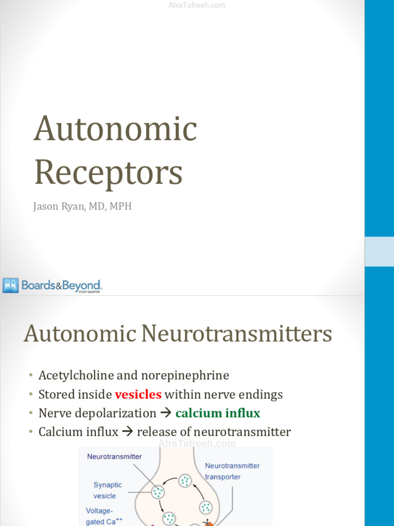 Autonomic Receptors Atf | PDF | Acetylcholine | Norepinephrine