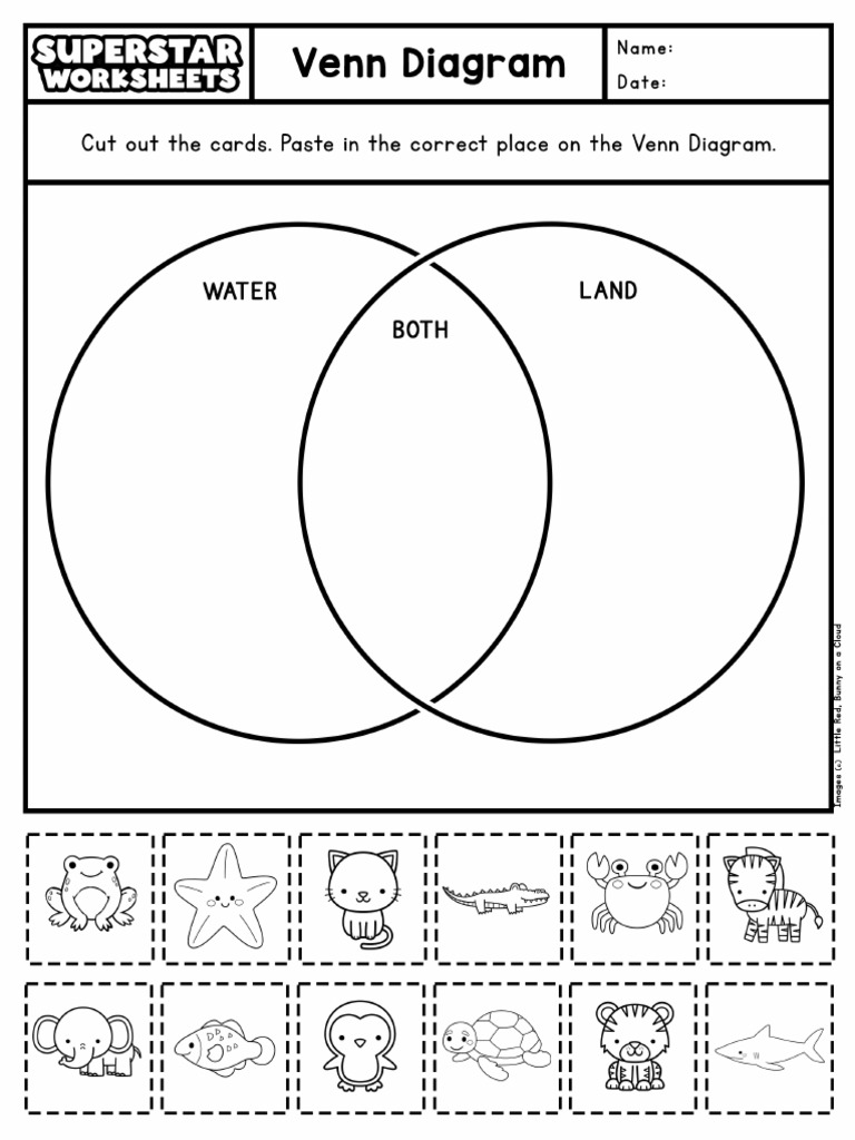 Venn Diagram Types of Animals | PDF