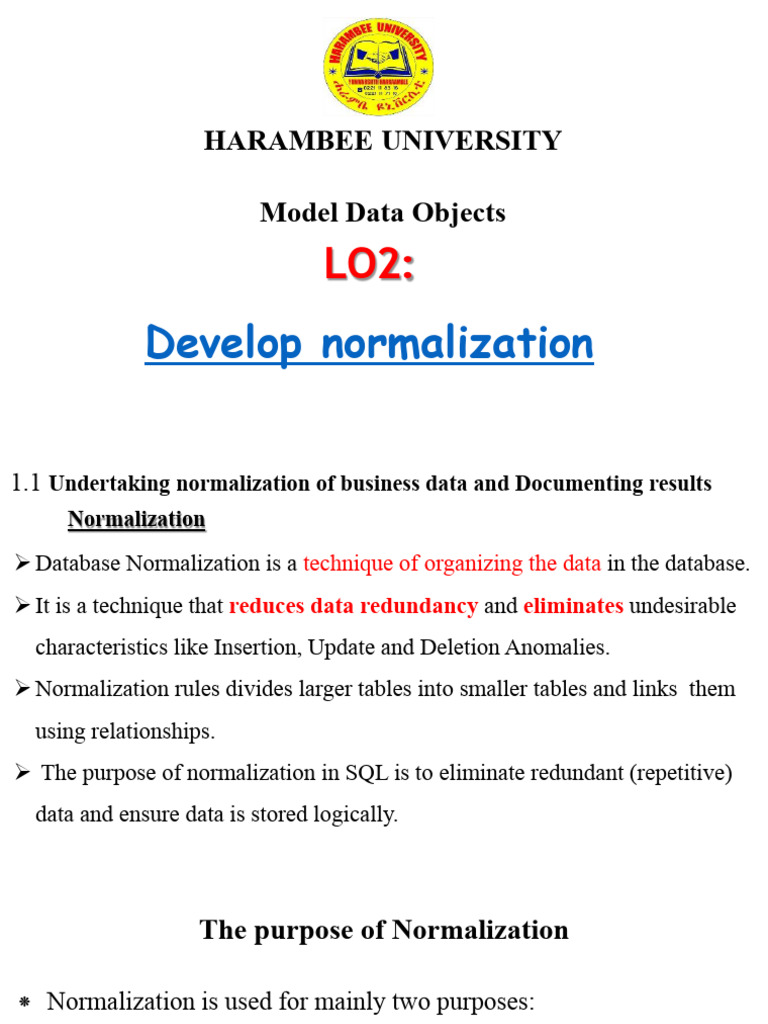 LO2 Normalization | Download Free PDF | Information Technology Management | Software Design