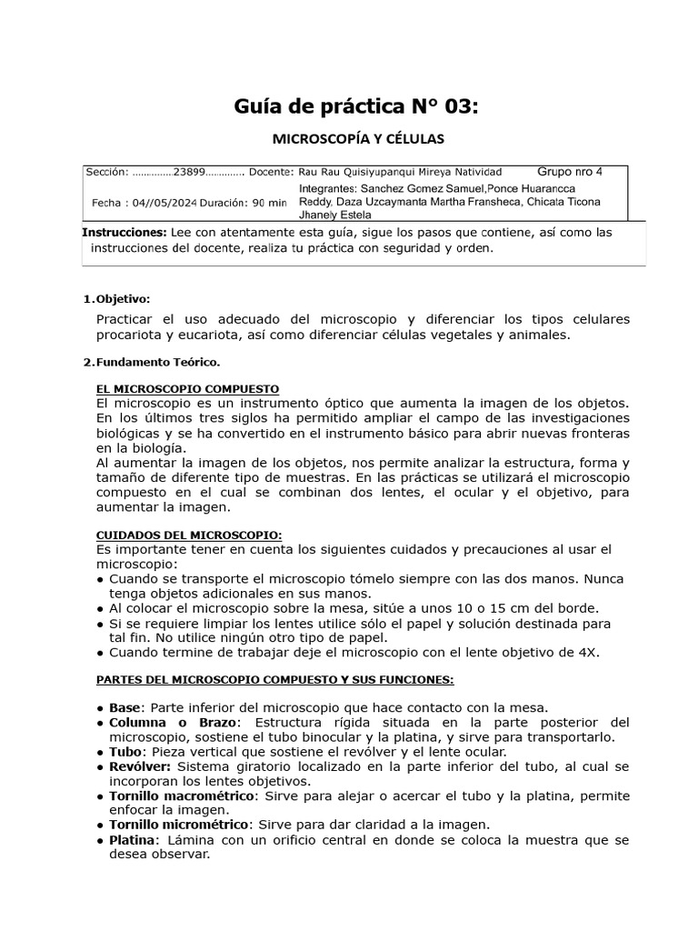 Practica N 3 Micros | PDF | Biología Celular) | Plantas
