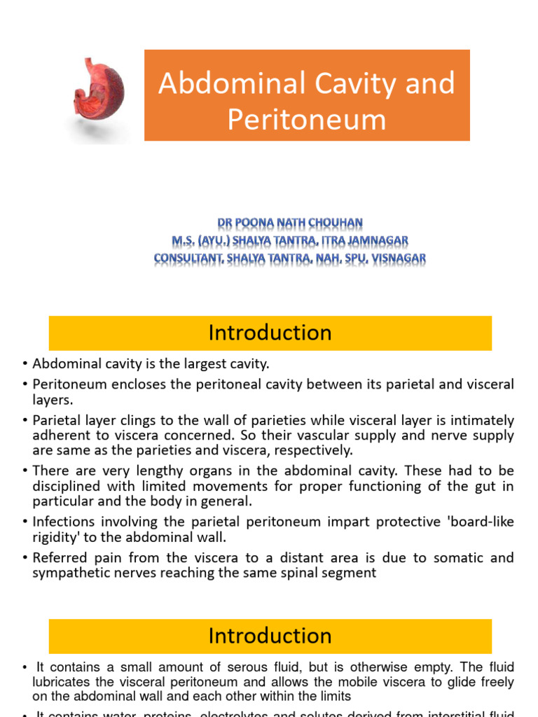 Abdominal Cavity and Peritoneum | PDF | Peritoneum | Abdomen