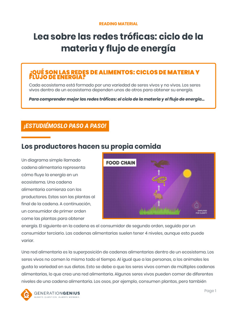 red-alimentaria-ciclo-de-la-materia-y-flujo-de-energia-material-de ...