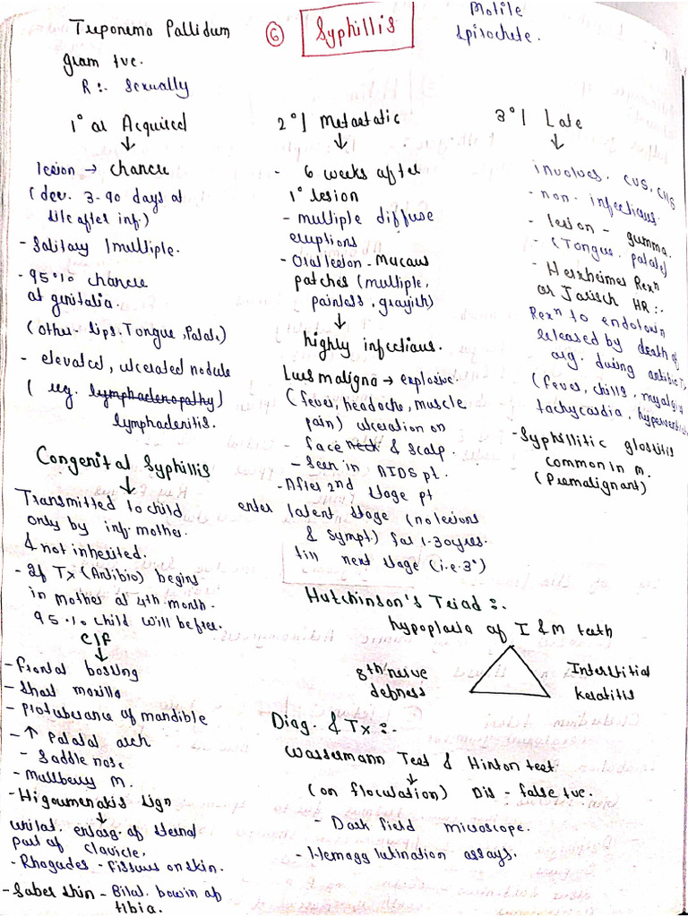 Syphillis | PDF
