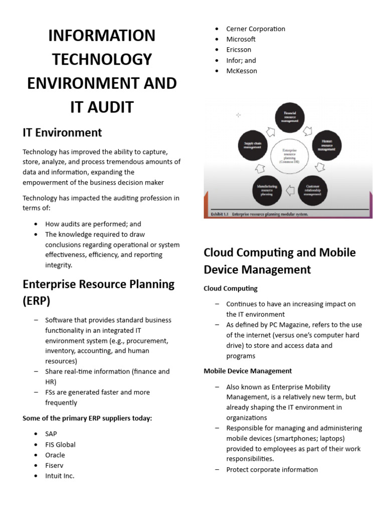 Information Technology Environment and It Audit | PDF | Audit ...