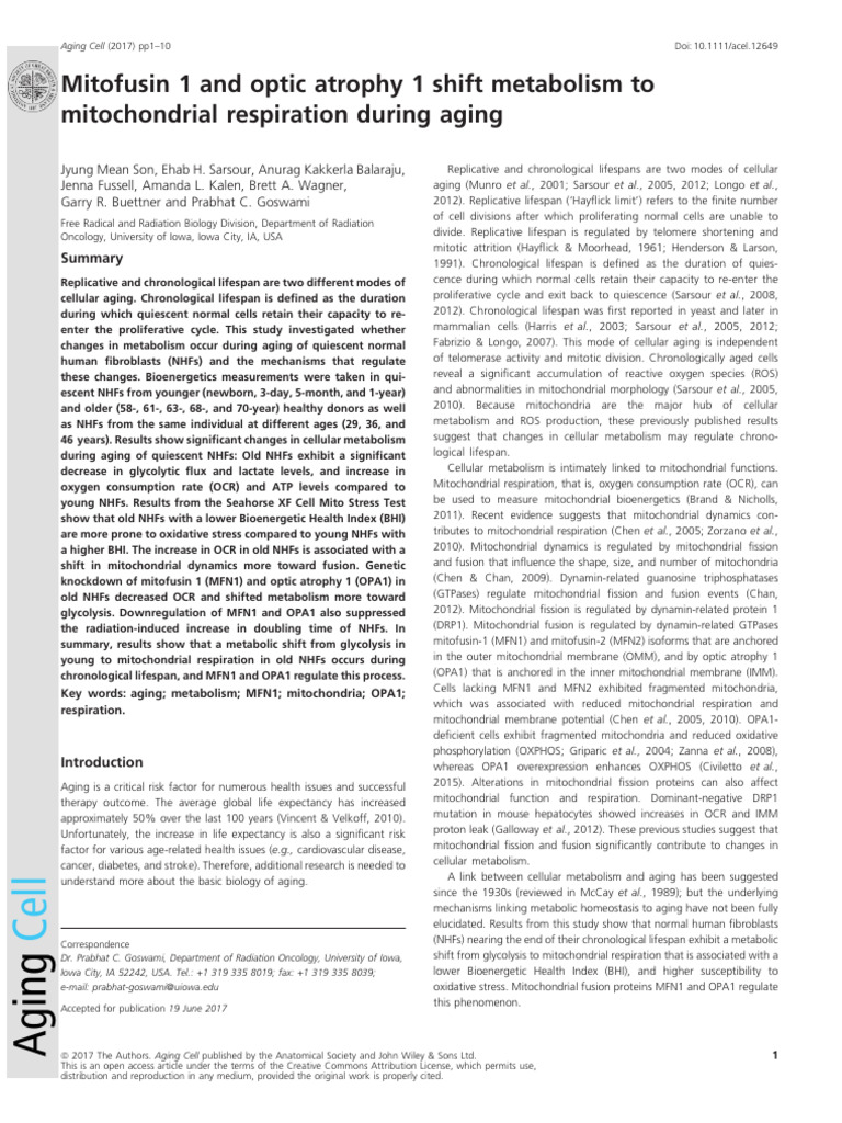Mitofusin 1 and Optic Atrophy 1 Shift Metabolism T | PDF ...