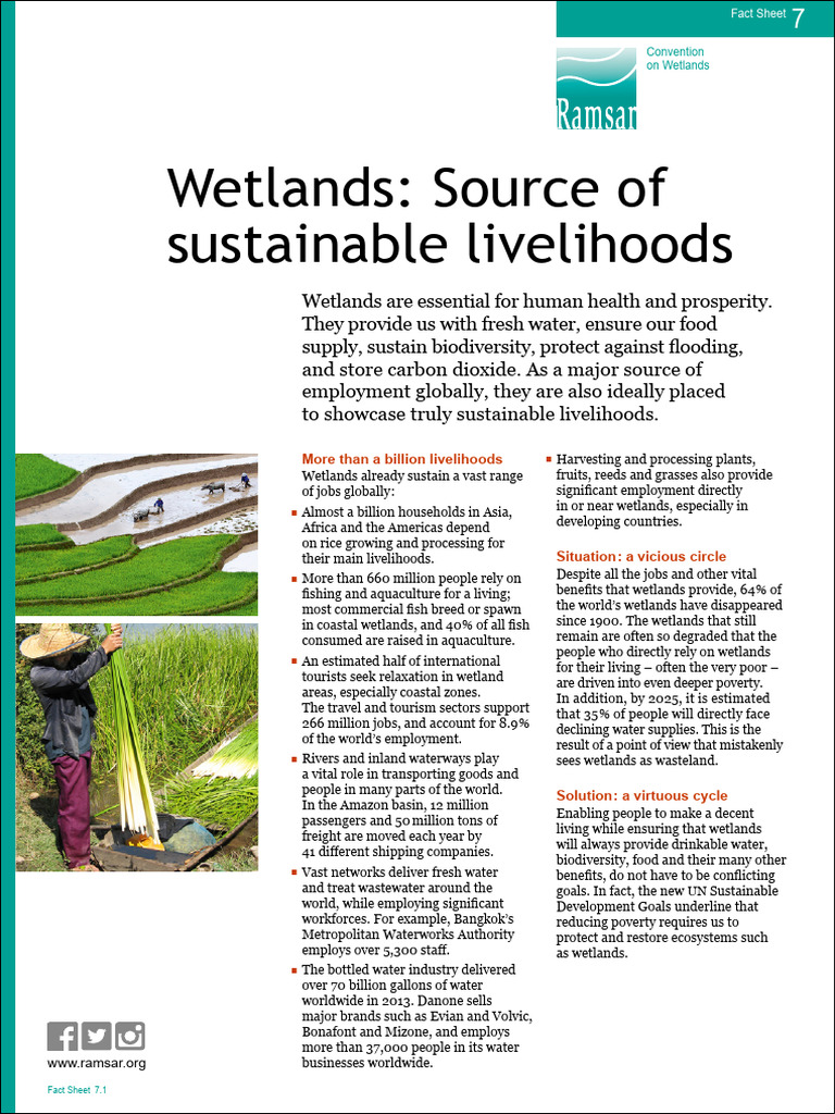 Factsheet7 Livelihoods | PDF | Wetland | Sustainability
