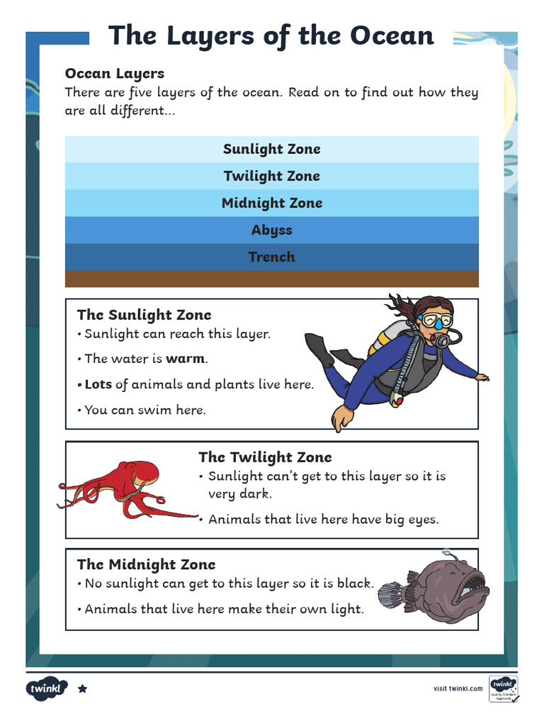 Layers of The Ocean Differentiated Reading Comprehension Activity | PDF ...
