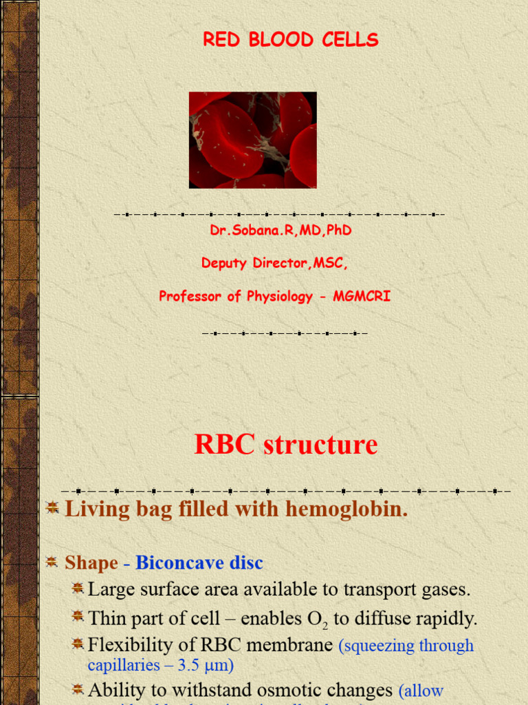 RBC Introduction | PDF | Red Blood Cell | Glycolysis