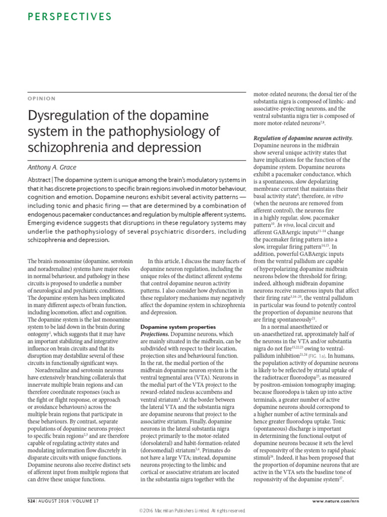 Dysregulation of The Dopamine Pathophysioogy of Schizophrenia and Depression | PDF | Dopamine ...