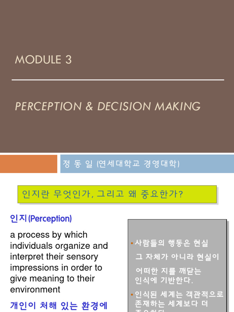 CH 6 Perception Decision Making | PDF