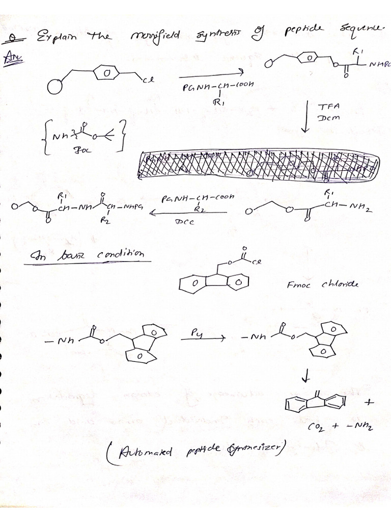 Biomolecule | PDF