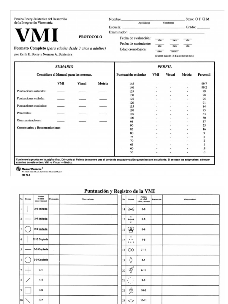 Pruebas Vmi | PDF