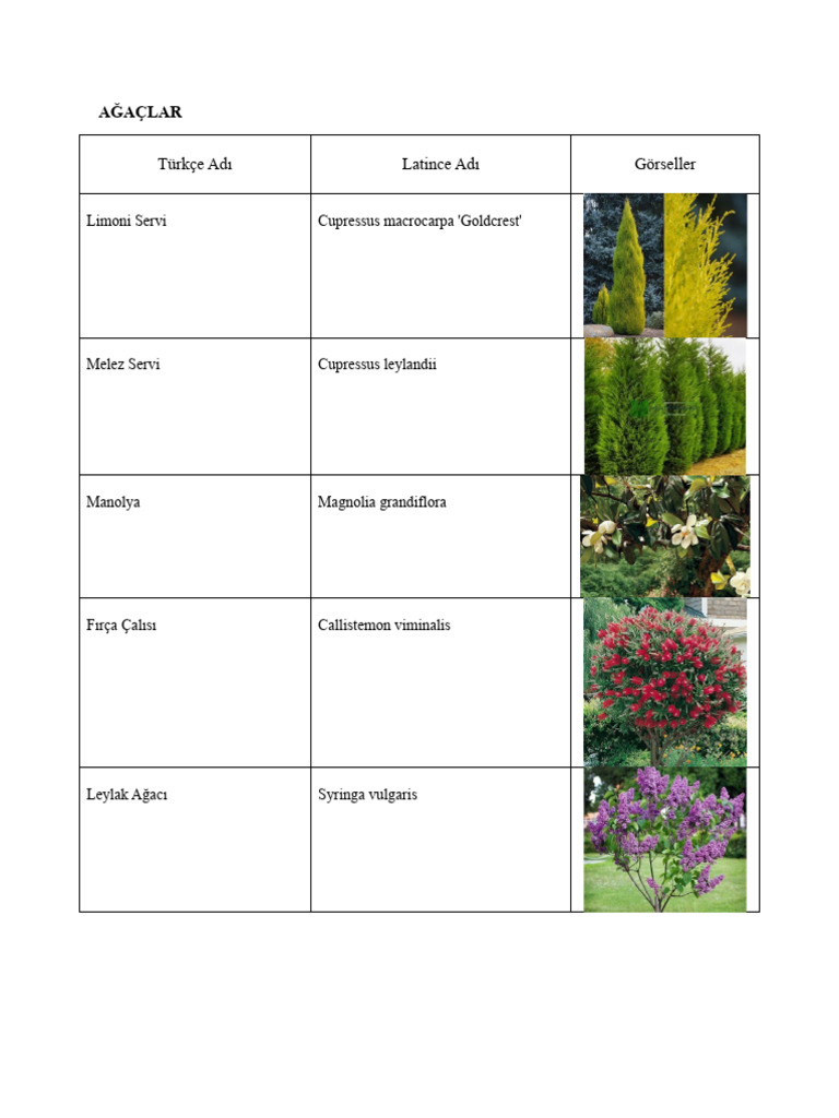 Ni̇hat Bey Bi̇tki̇ Li̇stesi̇ | PDF