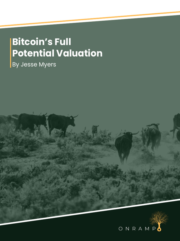 Bitcoins Full Potential Valuation - Vfinal | PDF | Discounted Cash Flow ...