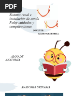 Sondas Vesicales En Urología 2024 Pdf Especialidades Medicas Urología