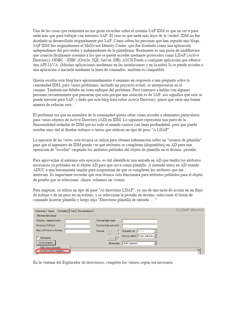 Sistema SAP IDM Entornos SAP | PDF | Software de la aplicacion | Blog
