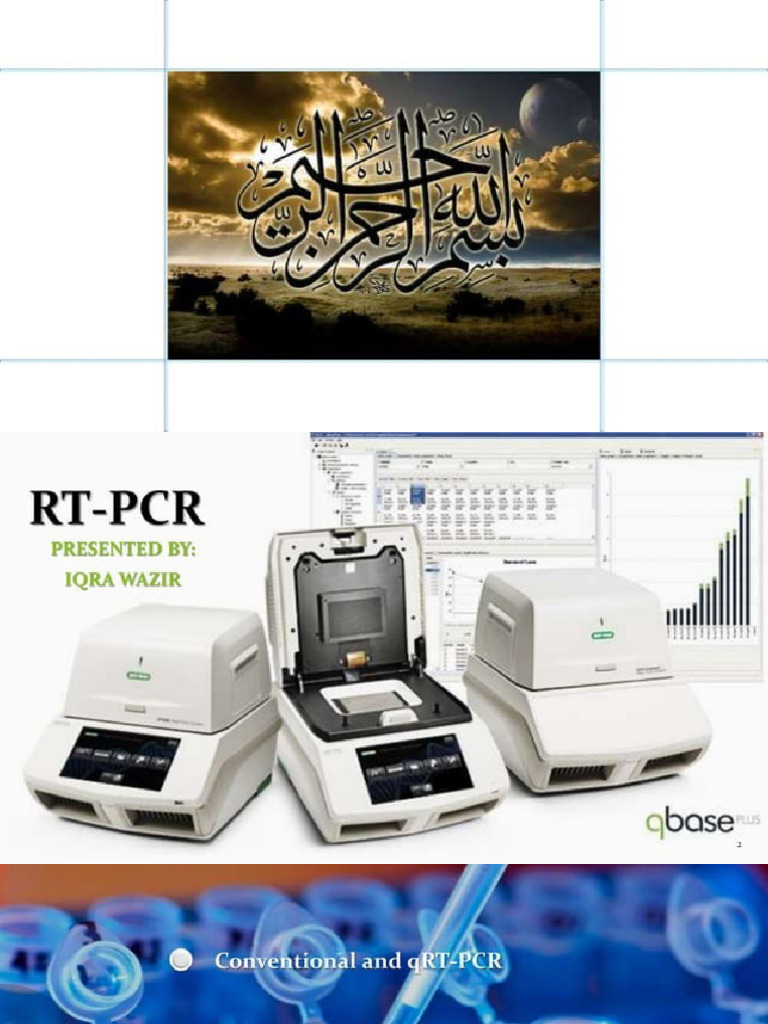 RT PCR | PDF