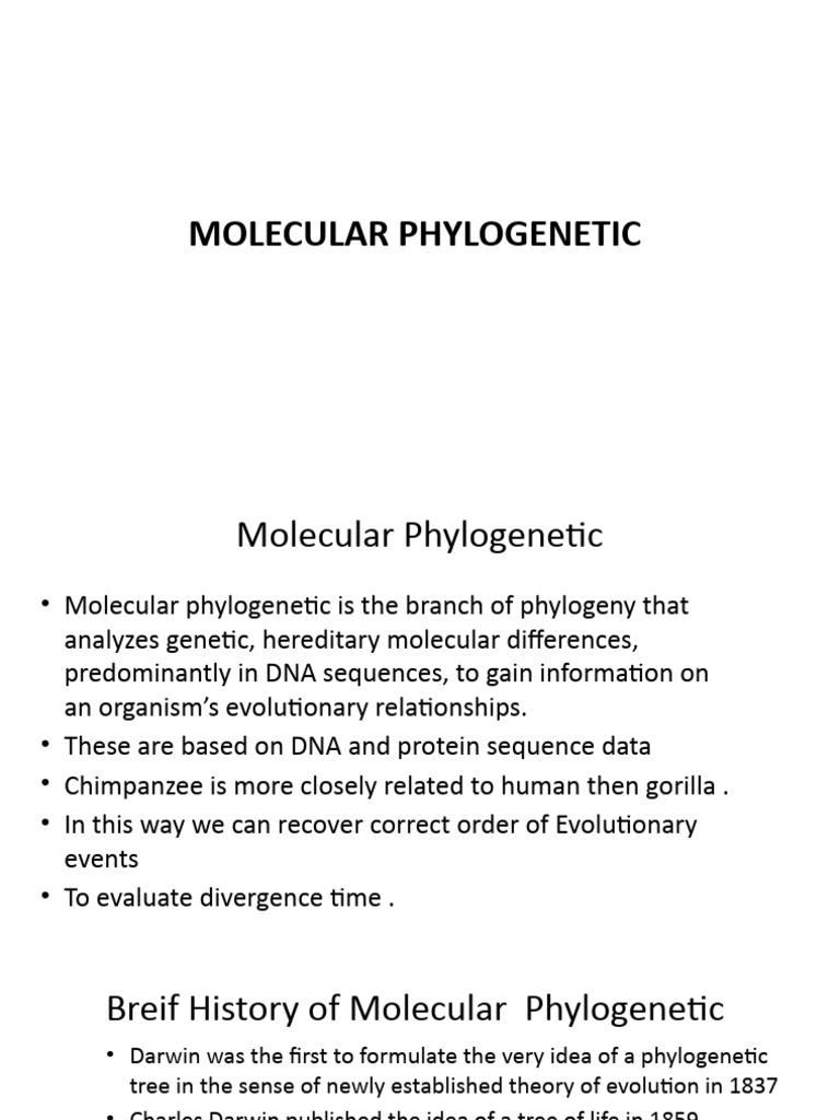 Molecular Phylogenetics Guide | PDF | Molecular Phylogenetics ...