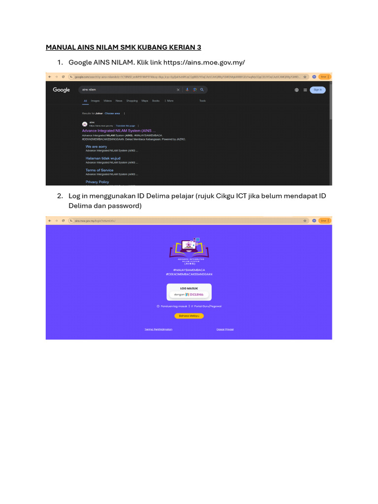 Manual AINS Nilam | PDF