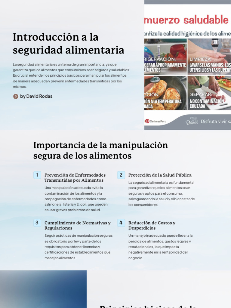 Introduccion A La Seguridad Alimentaria | PDF | Seguridad alimenticia | Alimentos
