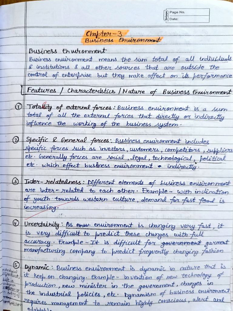 BST XII Business Environment ch3 | PDF
