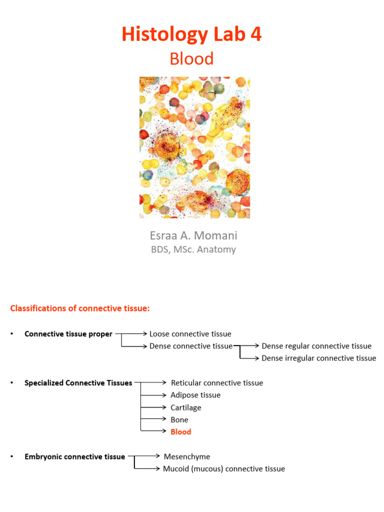 Lab 4 (1) | Download Free PDF | White Blood Cell | Connective Tissue