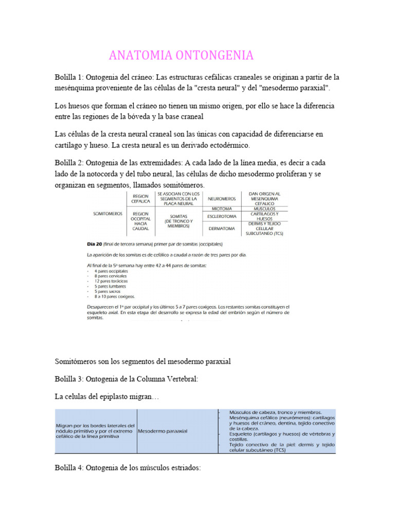 Ontogenia: Cráneo, Extremidades y Músculos | PDF | Cráneo | Músculo