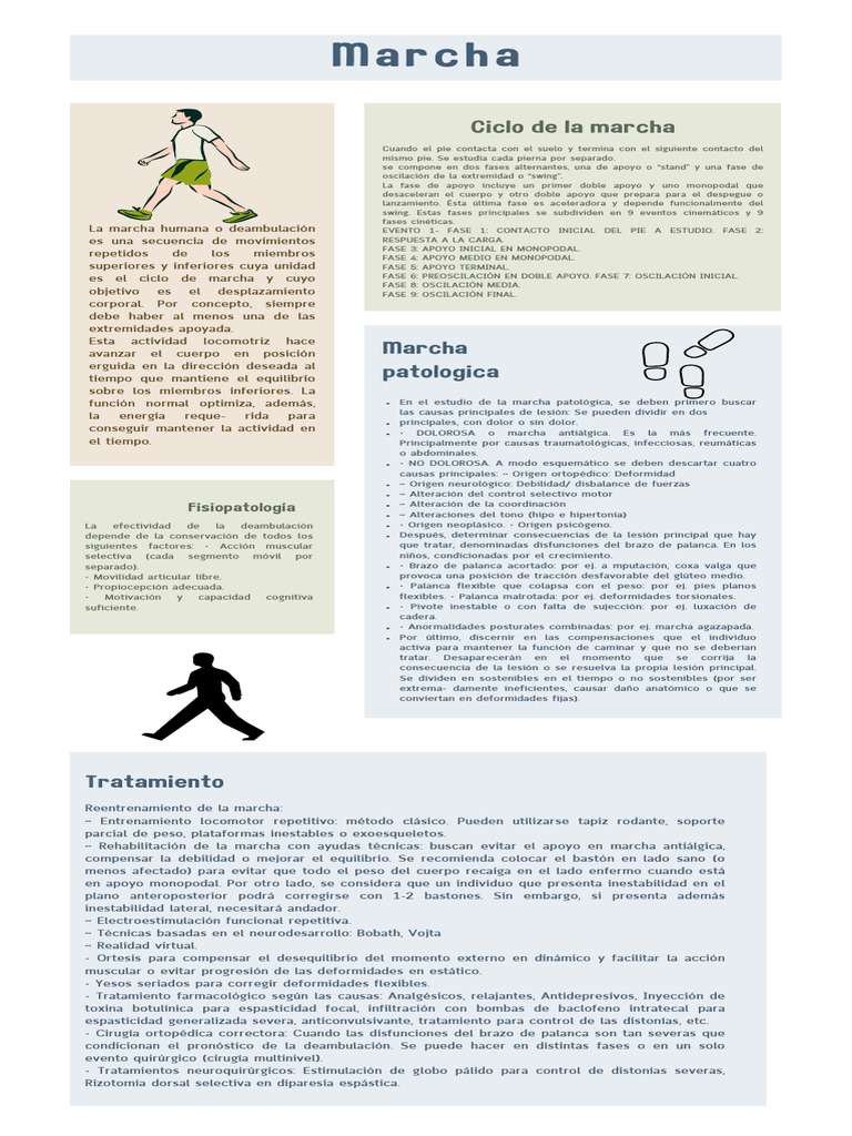 Análisis de la Marcha Humana | PDF | Distonia | Oscilación