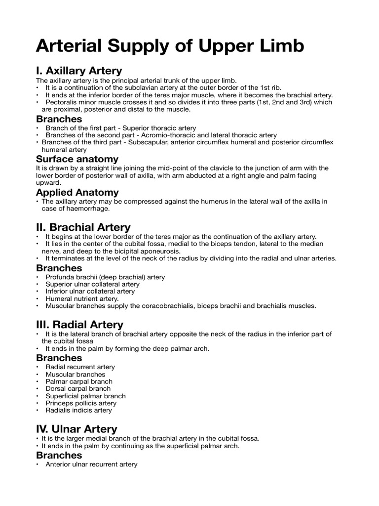 Arterial Supply of Upper Limb | PDF | Arm | Anatomical Terms Of Location Arterial Supply of Upper Limb | PDF | Arm | Anatomical Terms Of Location