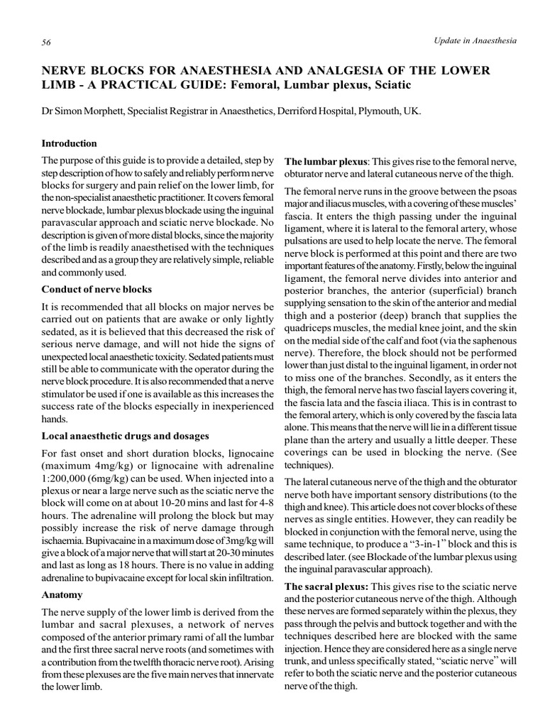 Uia 11 NERVE BLOCKS FOR ANAESTHESIA AND ANALGESIA OF THE LOWER LIMB A ...