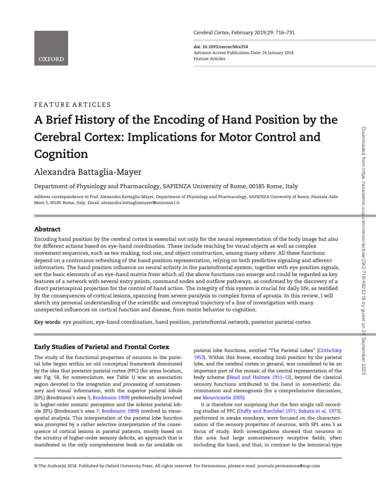 BHX 354 | PDF | Parietal Lobe | Cerebral Cortex