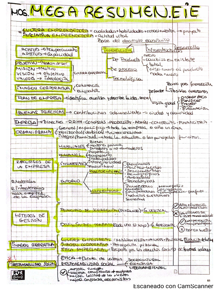 Mega Resumen Eie-1 | PDF