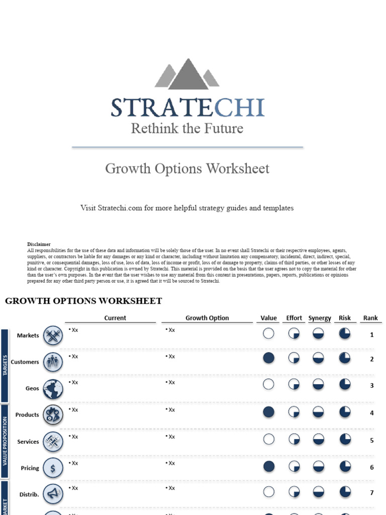 Stratechi - Growth Options Worksheet | PDF | Damages | Marketing